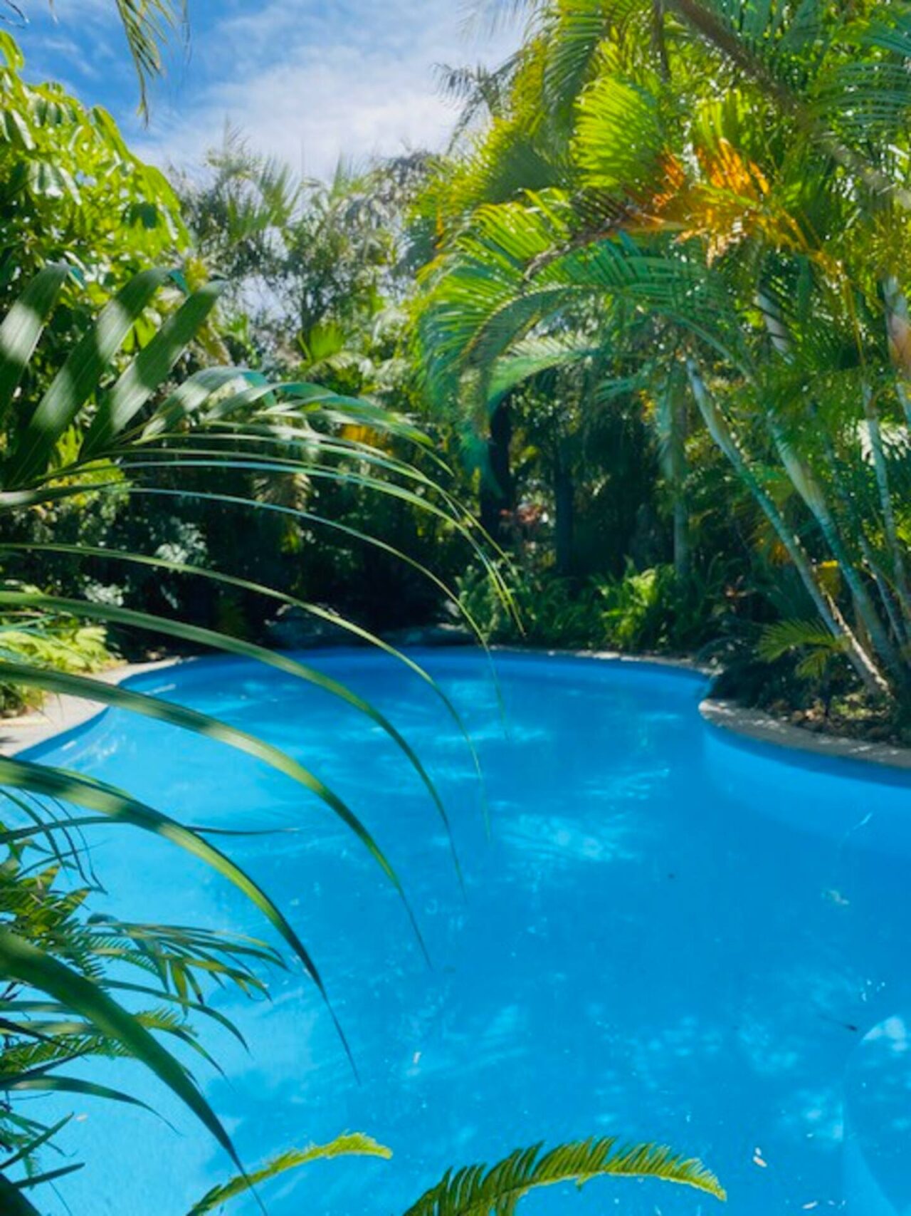 Accomodation -Tallow Beach Motel book now
